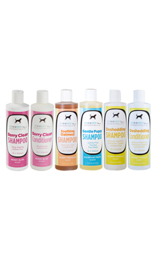 Groomer Essentials Starter Kit - Love Groomers