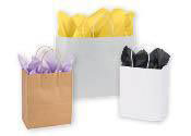 Premium Folded Top Paper Bags
