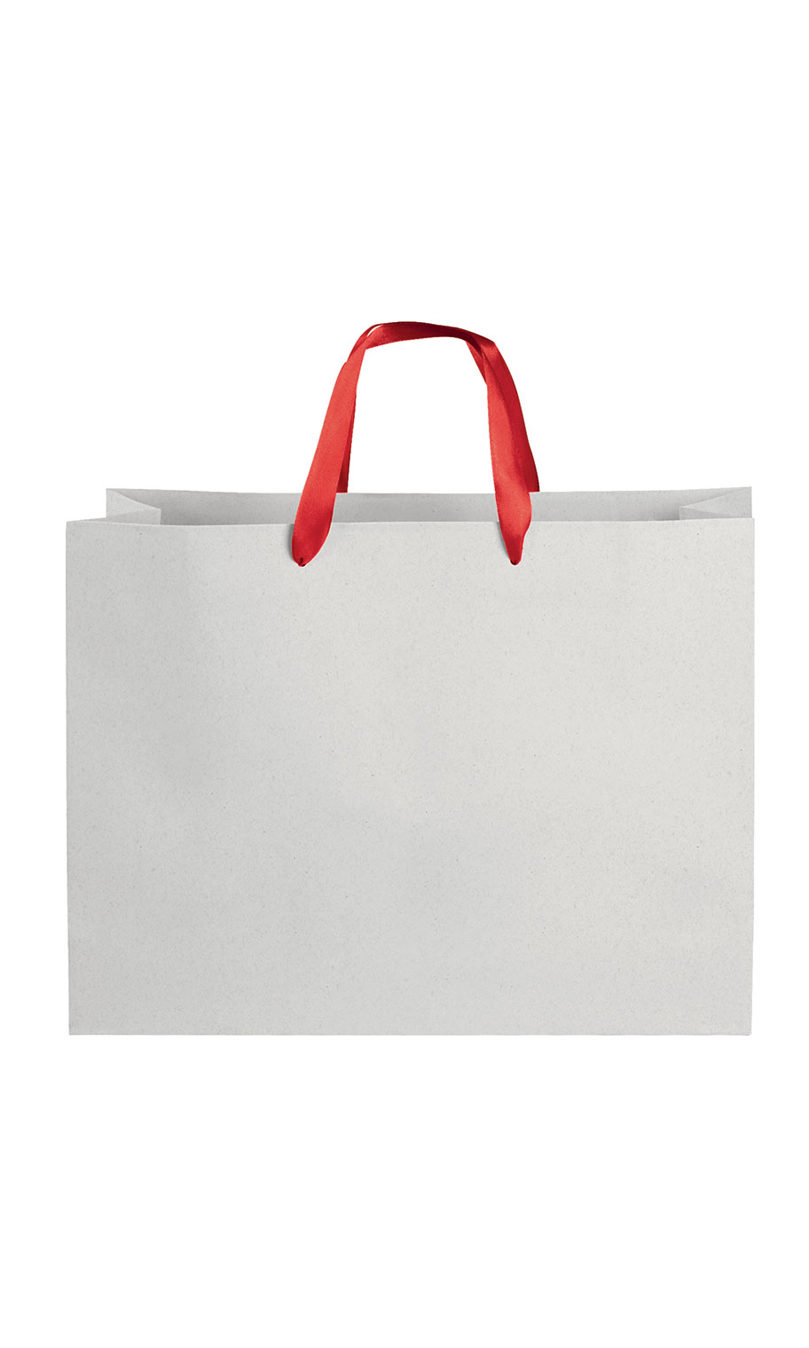 Kraft Premium Paper Bags Red Ribbon Handles | Store Supply