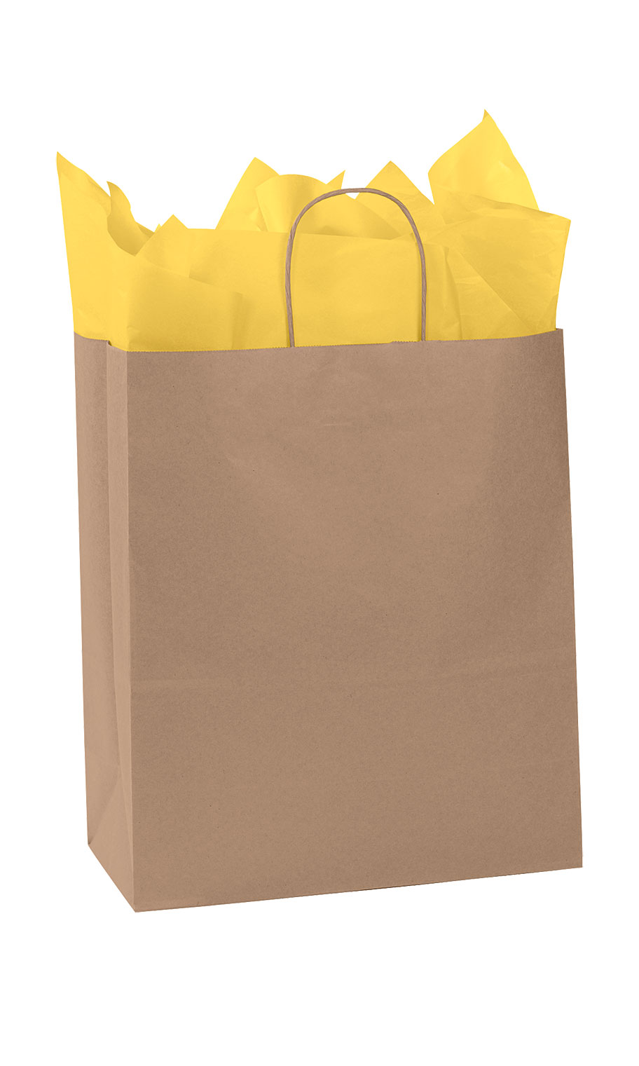 Extra Large Kraft Paper Bags - Case of 250 | Simple Retail