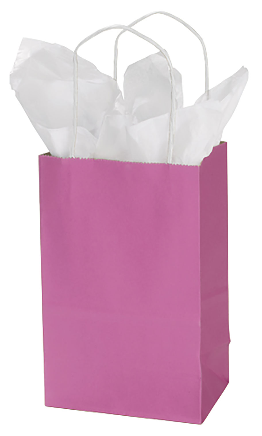 Small Magenta Paper Shopping Bags - Case of 100 | Store Supply