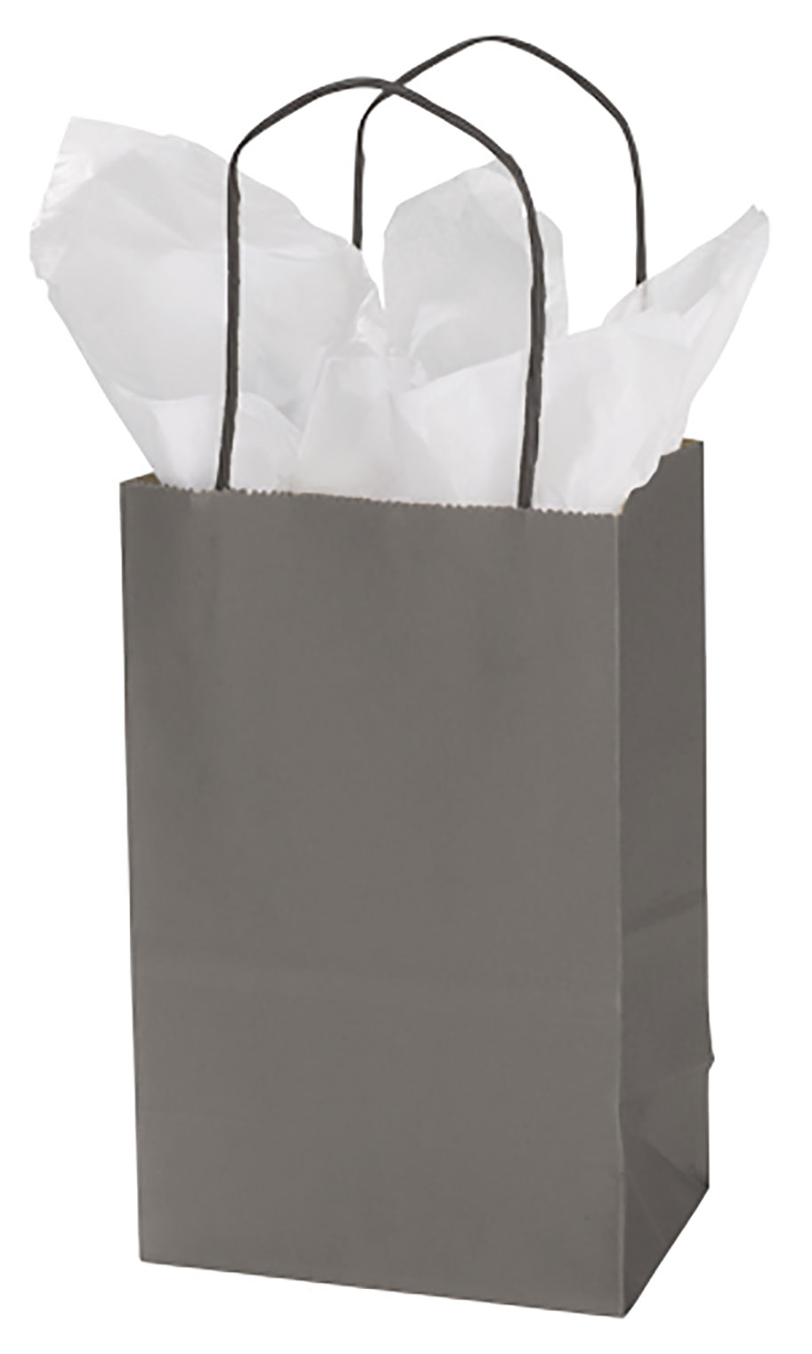 Small Gray Paper Bags - Case of 100 | Simple Retail