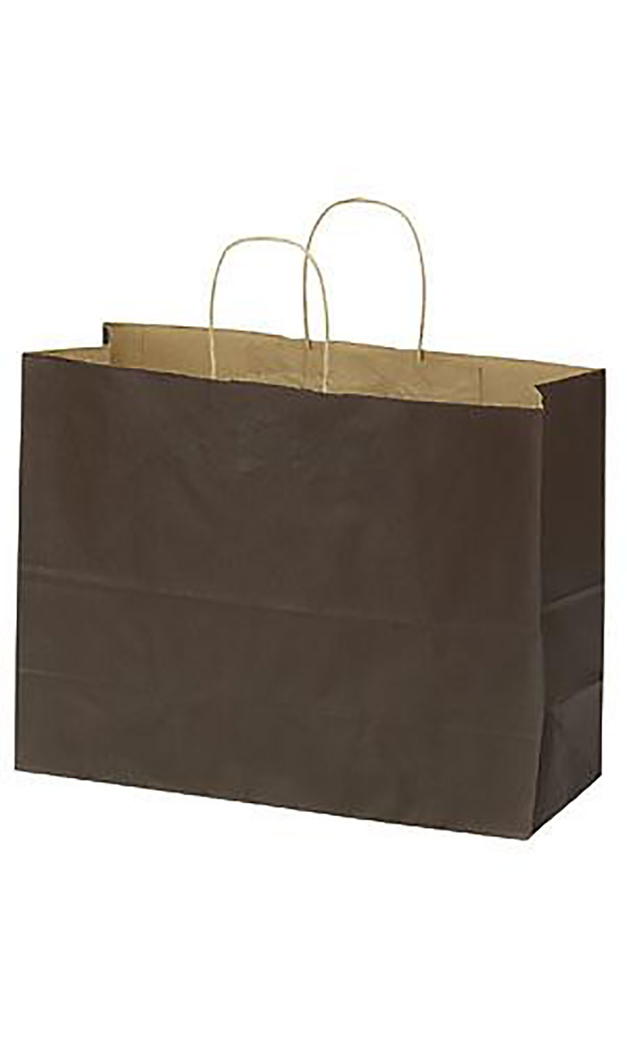 Large Chocolate Paper Bags - Case of 100 | Simple Retail
