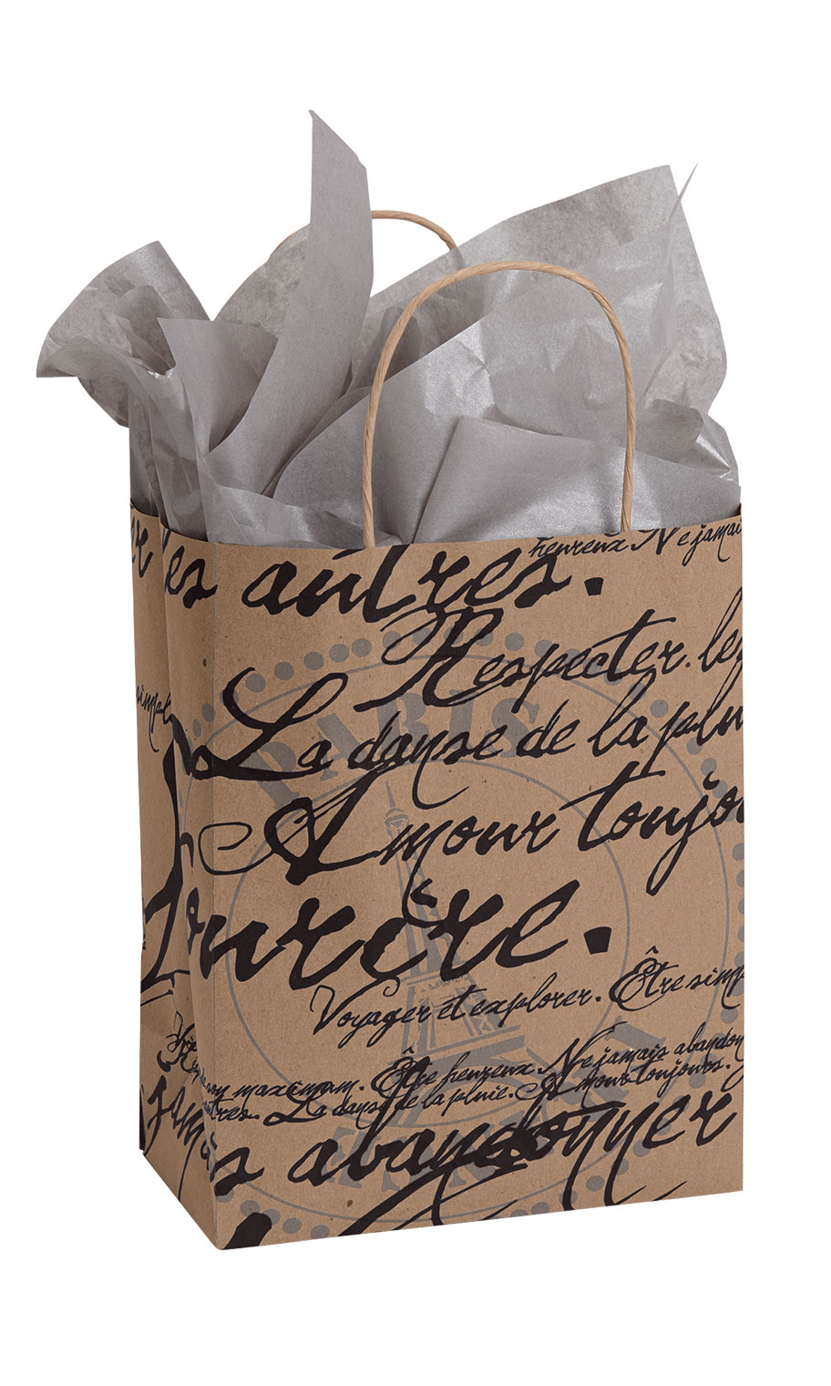 Medium Paris Script Paper Shopping Bags - Case of 100 | SSW