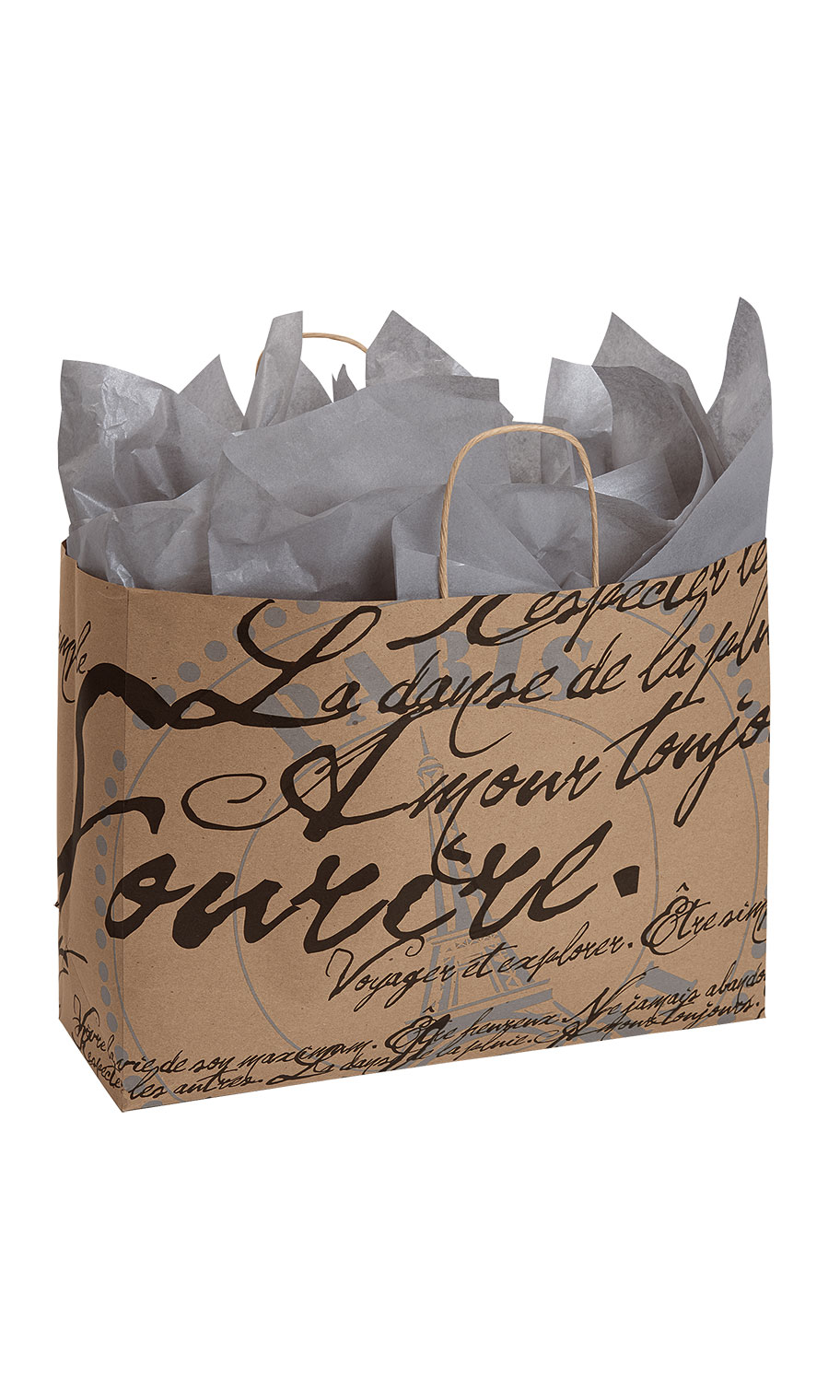 Large Paris Script Paper Shopping Bags - Case of 100 | SSW